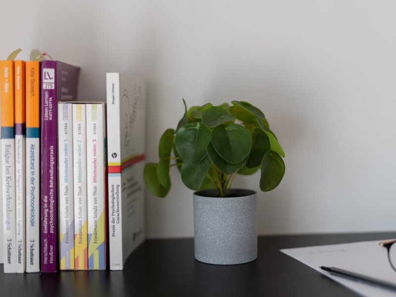 Mag. Sandra Eder - Meine Arbeitsweise